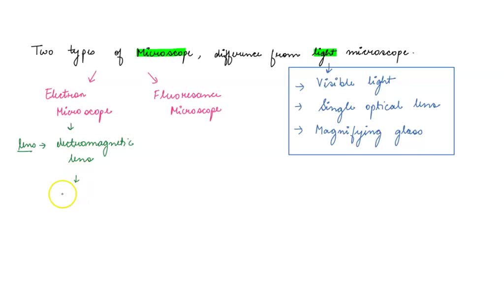 Knowledge Check What Can Be Viewed with Microscopes? Now it's time to ...