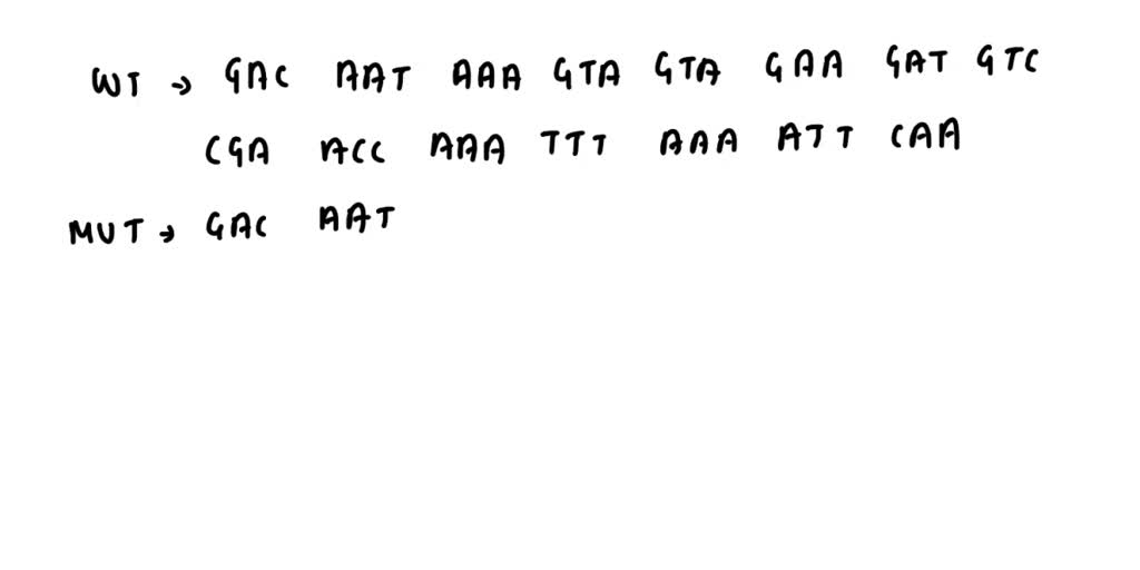 SOLVED: Examine the WT and mutant sequences below. Where (codon # blank ...