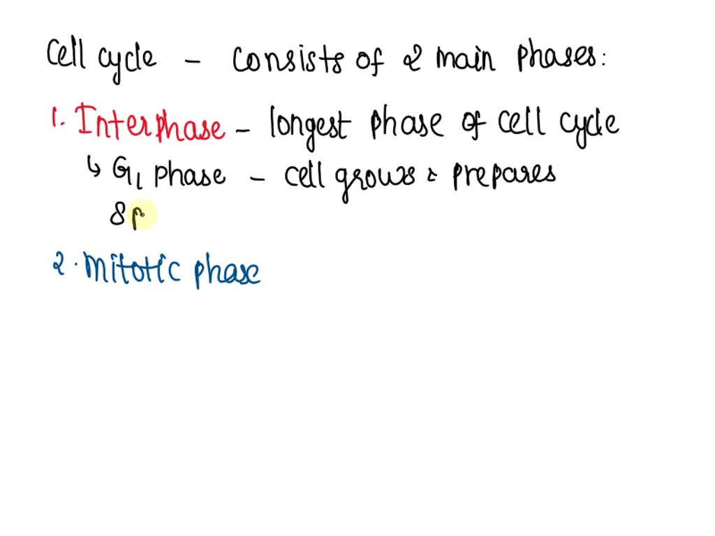 SOLVED: 1. What are the phases of the cell cycle? A. S phase and ...