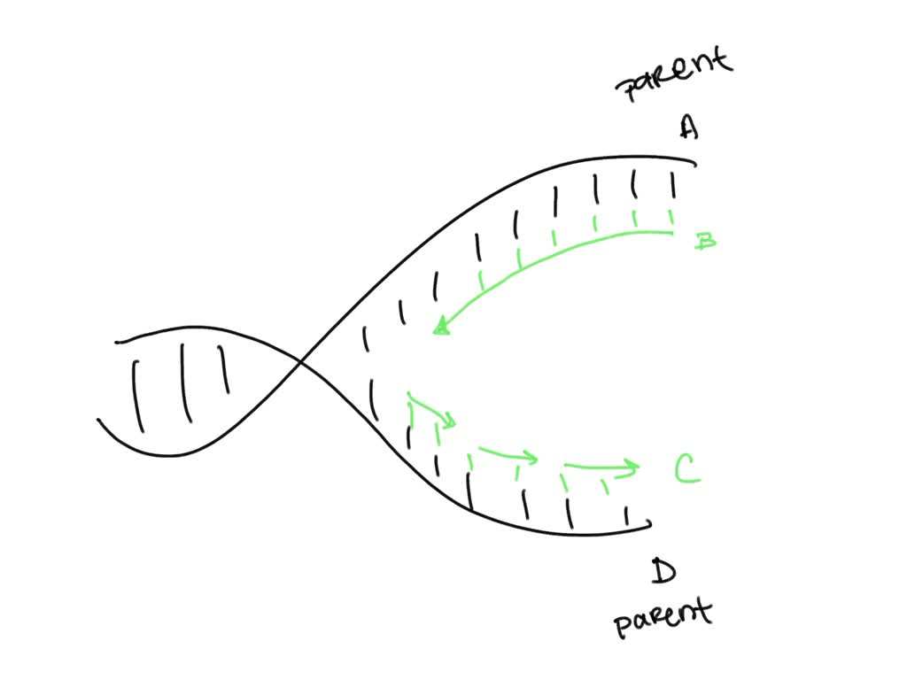 SOLVED: Indicate whether the following items relate to continuous replication, discontinuous ...