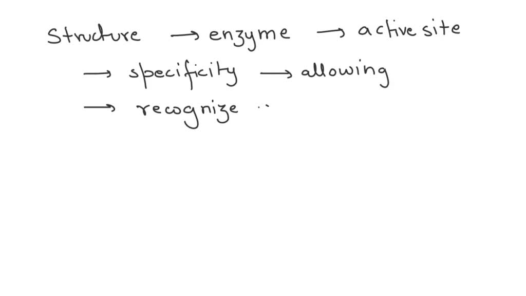 SOLVED: '31. Explain the structure of an enzyme based on its protein and non-protein components ...