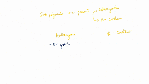part b separation of plant pigments by paper chromatography data table ...