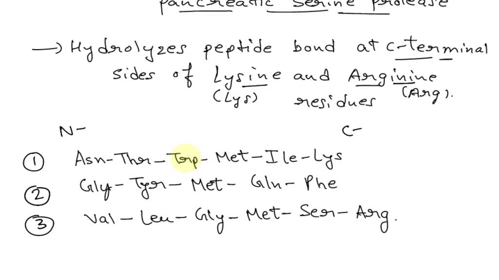 SOLVED: A sample of an unknown peptide was divided into two aliquots ...