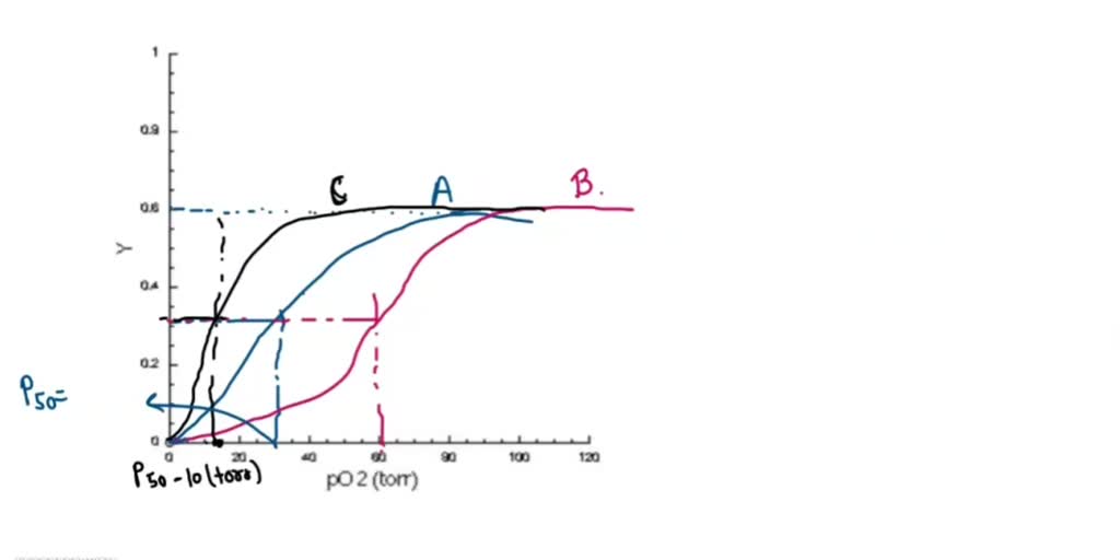 SOLVED: 11. Draw a graph illustrating the relationship between Y (what ...