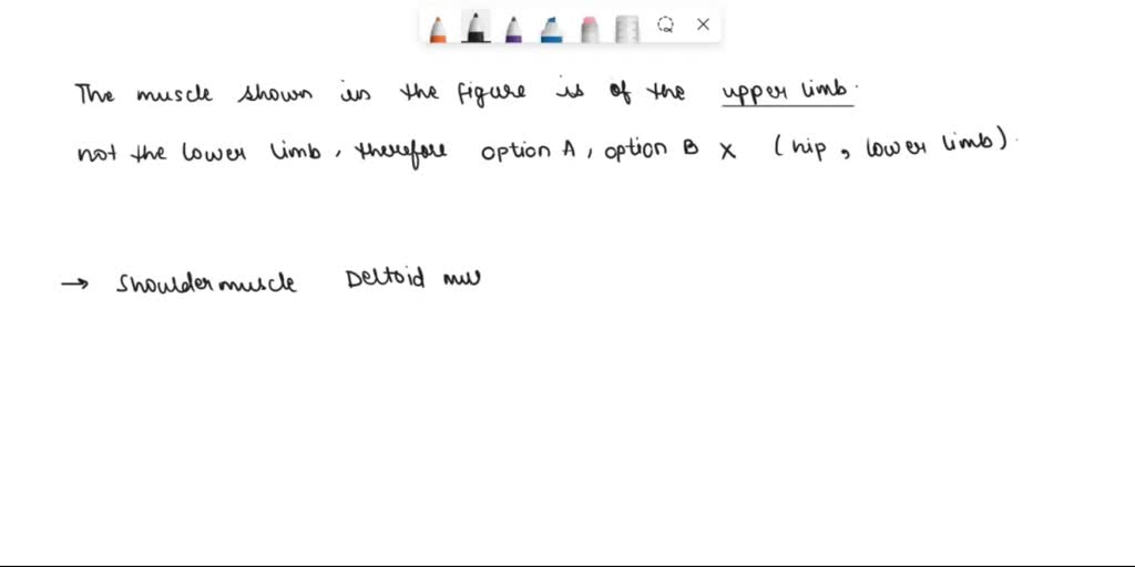 SOLVED: 37) Match the following terms with their closest description ...
