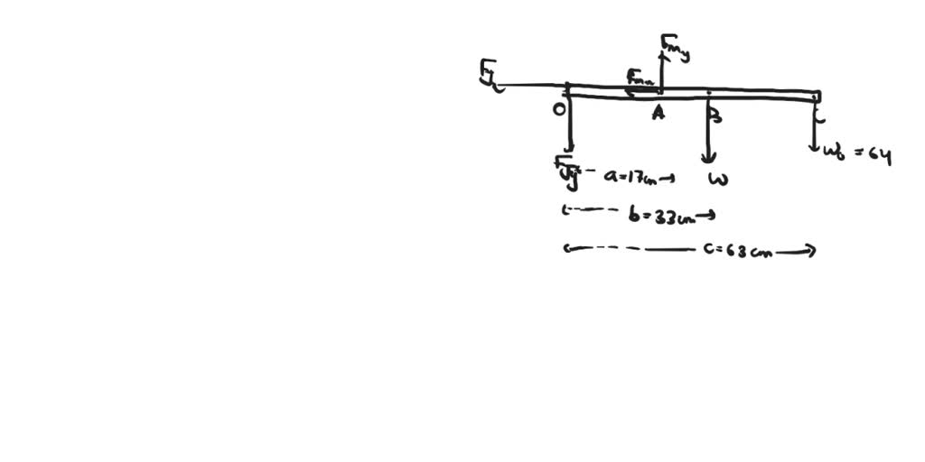 SOLVED: Question 1) The forces acting on the arm of an athlete doing ...