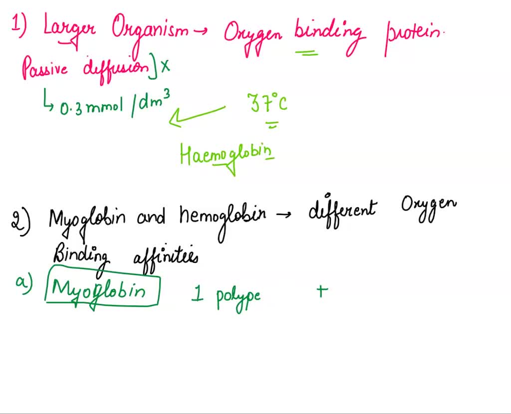 SOLVED: Why do larger organisms need oxygen-binding proteins? (2 pts) Myoglobin (Mb) and ...