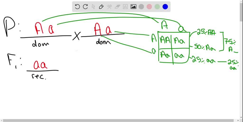 SOLVED: a) Dimples is a dominant trait. A man heterozygous for dimples ...