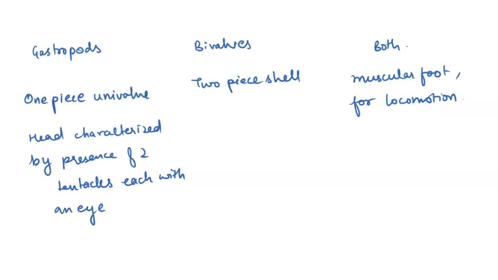 SOLVED: 'only both groups moluscs using the 12 Identify which of the ...