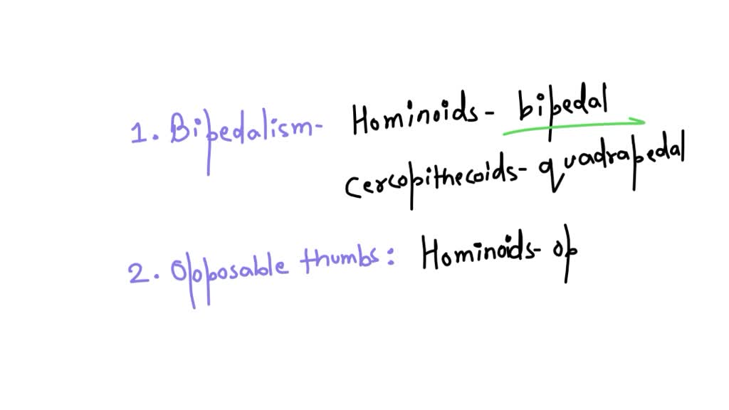 SOLVED: LIST and DESCRIBE three traits that distinguish hominoids from ...