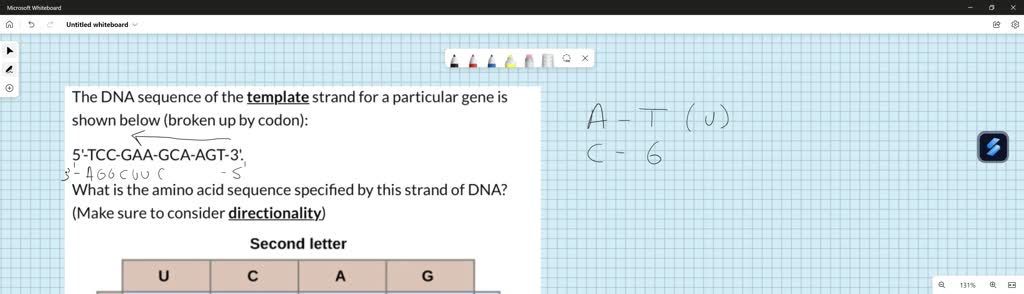 SOLVED: The DNA sequence of the template strand for a particular gene is shown below (broken up ...