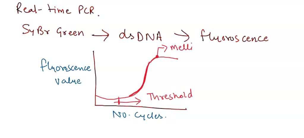 SOLVED: The graph below illustrates the result of a real-time PCR ...