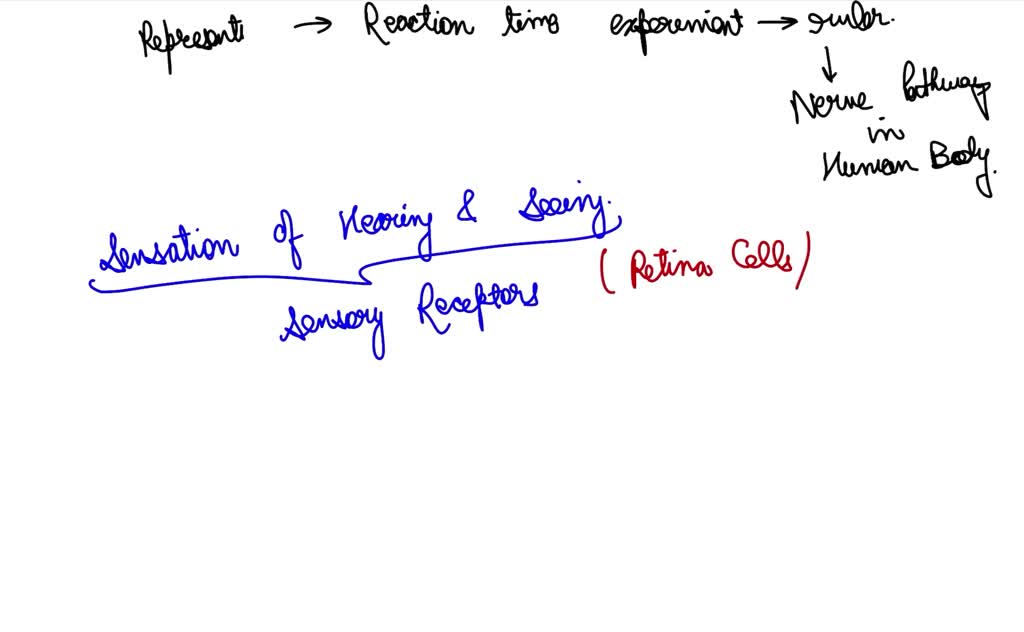 SOLVED: diagram a representation of the reaction time experiment ...