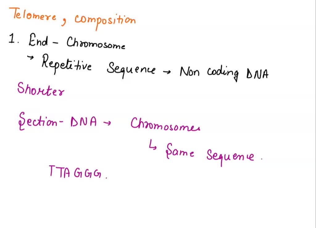SOLVED: What are telomeres? What is the sequence composition of ...