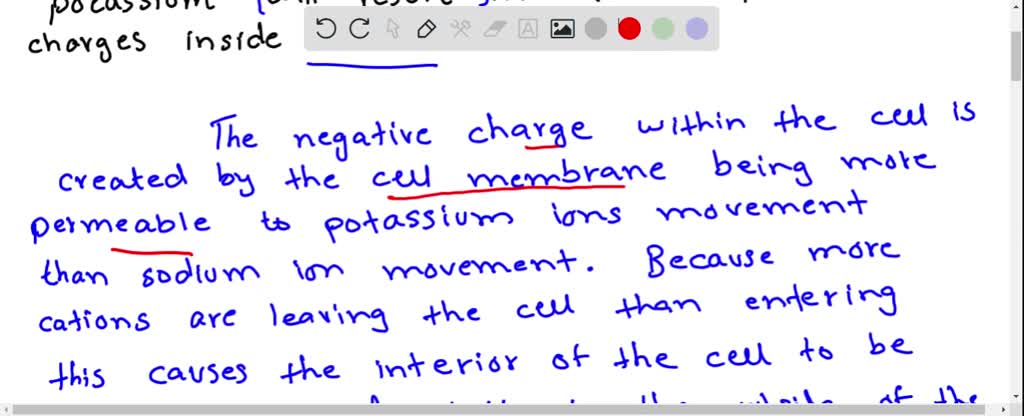 SOLVED: Explain why the action of sodium potassium will result in a ...