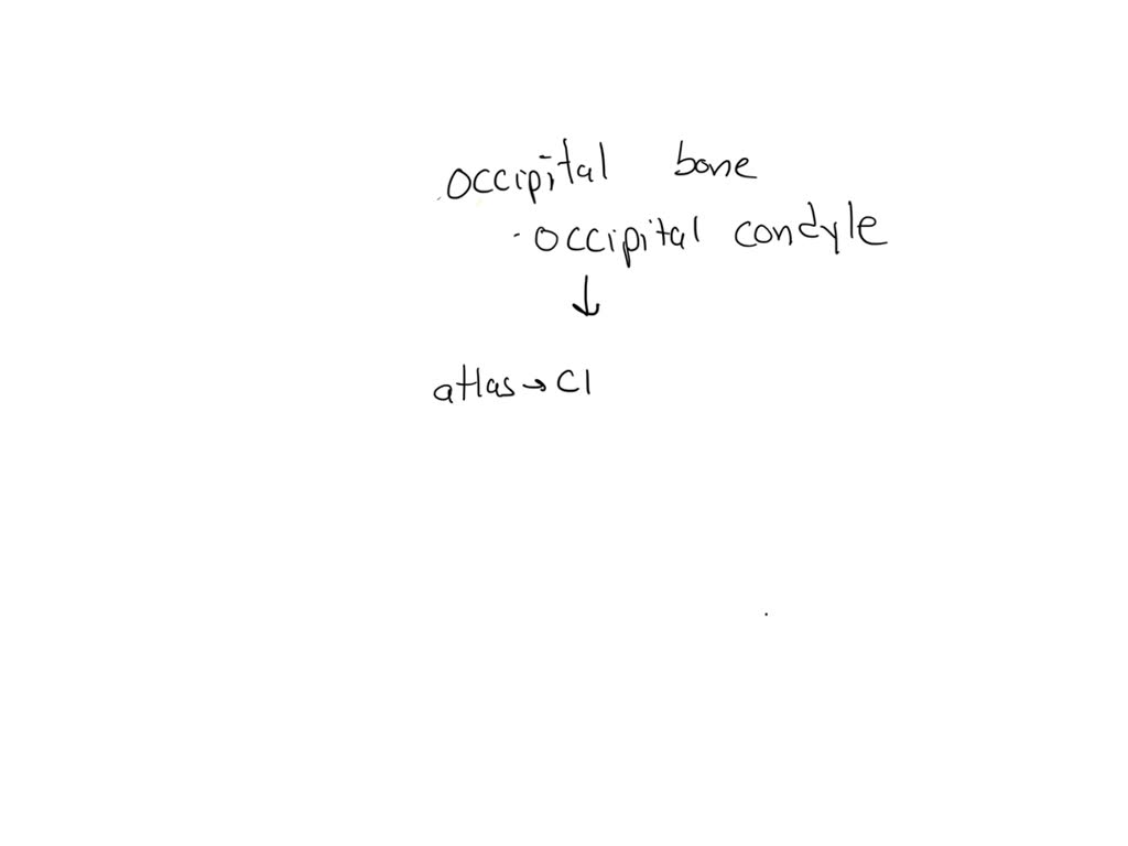 SOLVED: dentify the articulation site that allows us to nod our head ...