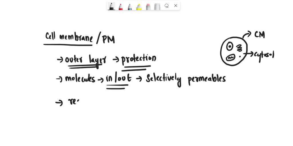 SOLVED: Which of the following functions depend on cell membranes? (There are multiple correct ...