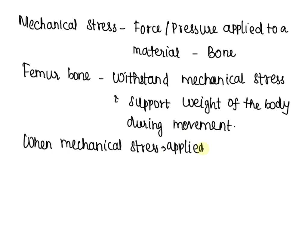 SOLVED: what is the role of mechanical stress on the strength of a long ...