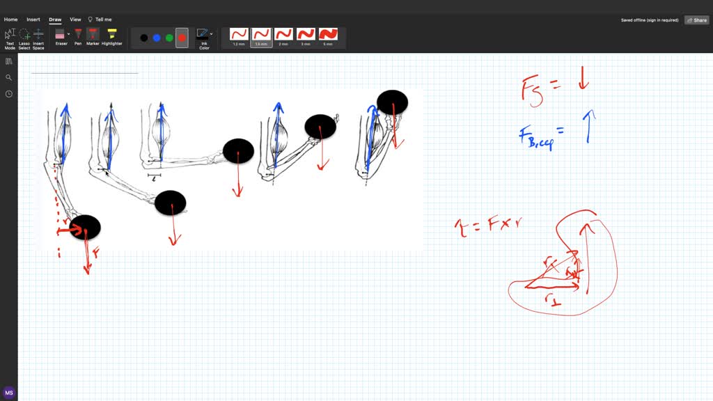 SOLVED: The figure below shows a bicep curl: On the figure diagram, the ...