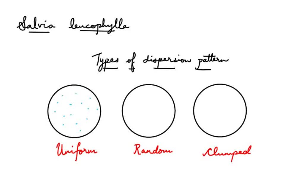 SOLVED: The sage plant (Salvia leucophylla) secretes a chemical that ...