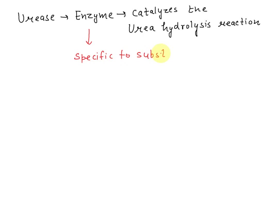 SOLVED: Urea is a product of digestion of proteins and other foods that ...