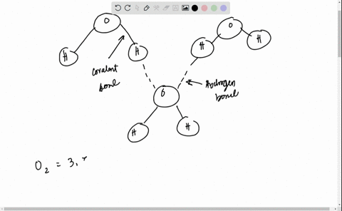 4. Hydrogen bonding stabilizes both the secondary and tertiary ...
