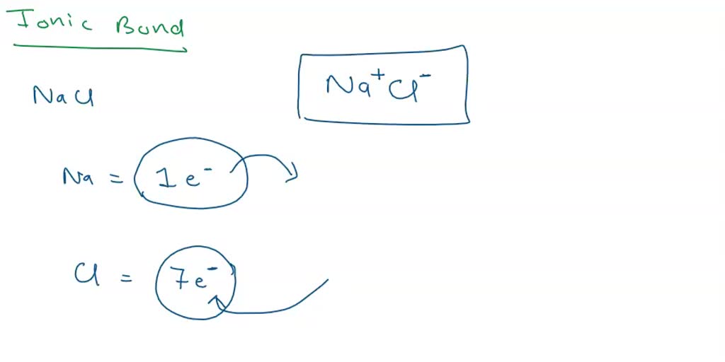 SOLVED: Please help me with science. What important process happens in the netlike structure ...