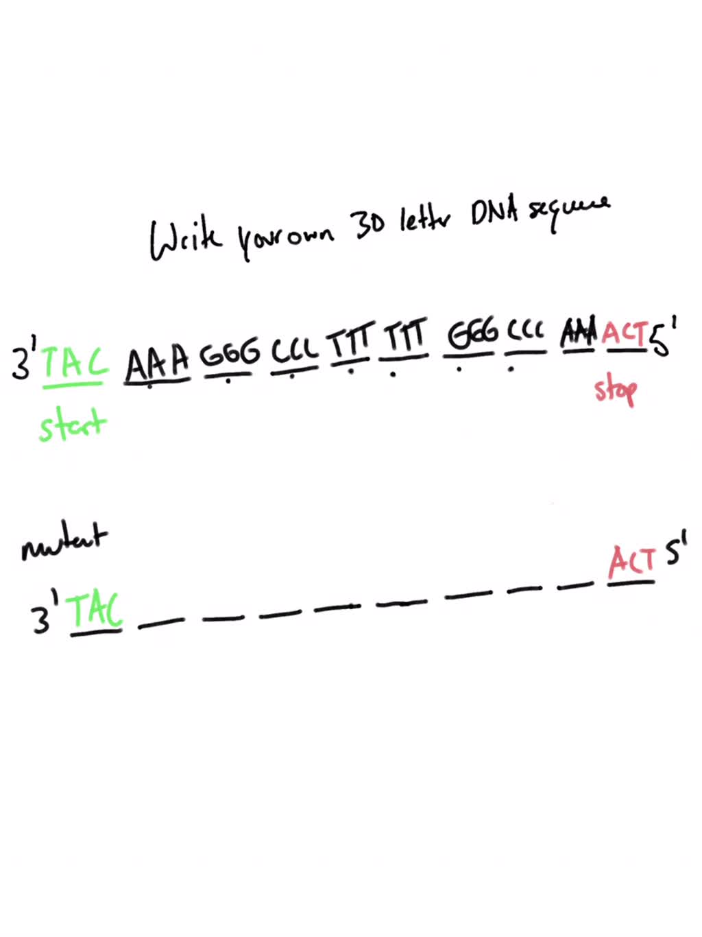 SOLVED: Write your own sequence of DNA that could be turned into a ...