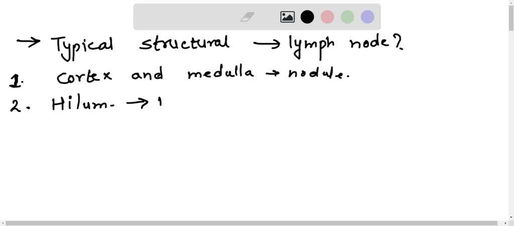 SOLVED: What are the typical structural parts of a lymph node? Select ...