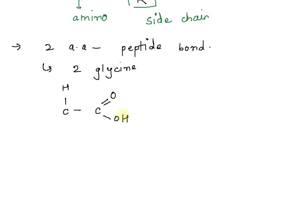SOLVED: write out the generic structure of an amino acid showing the ... SOLVED: write out the generic structure of an amino acid showing the ...
