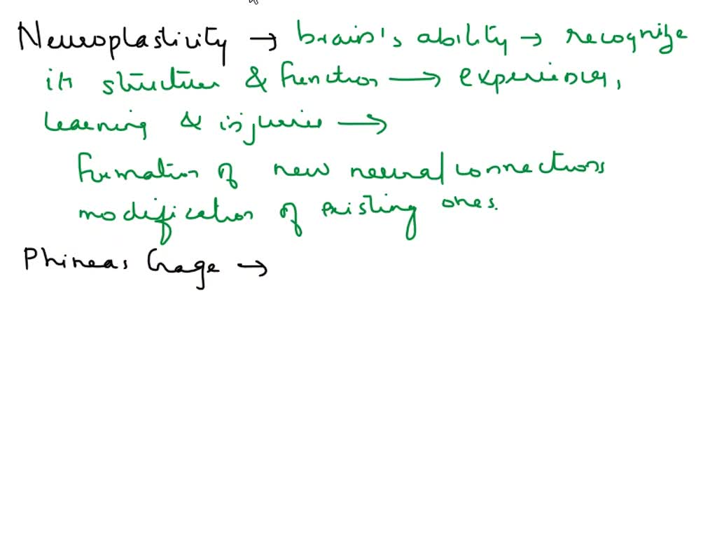 SOLVED: Explain what is neuroplasticity and why is this important in ...