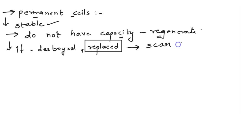 SOLVED: Fibrous connective tissue repair is defined as: a. mitotic ...