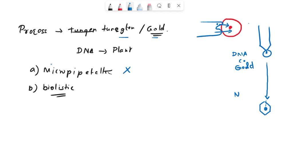 SOLVED:What are the two most traditional methods for plant genetic ...