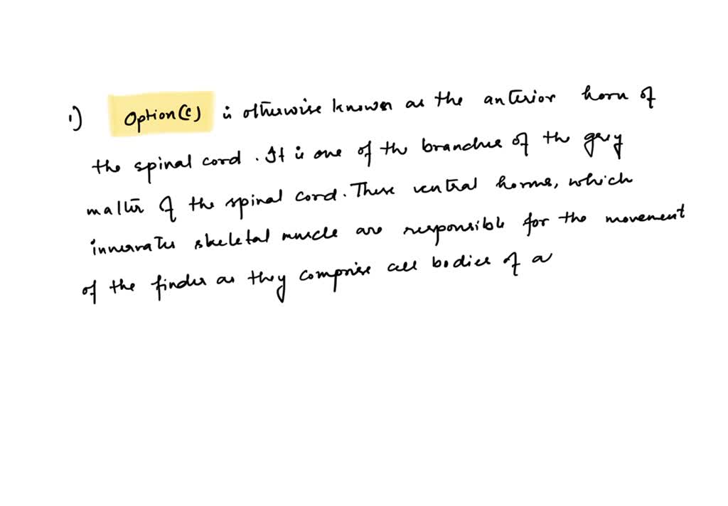 VIDEO solution: 1:06:2 Question 19 (1 point) Listen The of a neuron ...