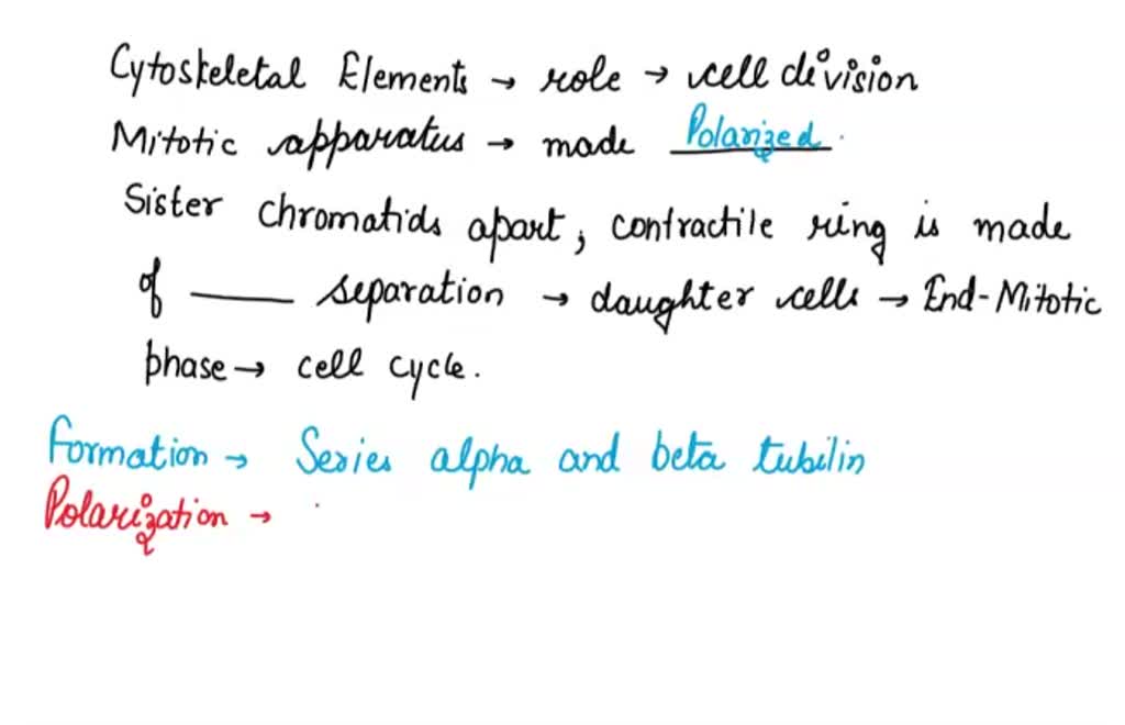 SOLVED: question 7 Cytoskeletal elements play important roles in cell division. The mitotic ...