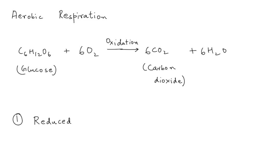 SOLVED: In the fueling reaction, glucose (C6H12O6) is the most ...