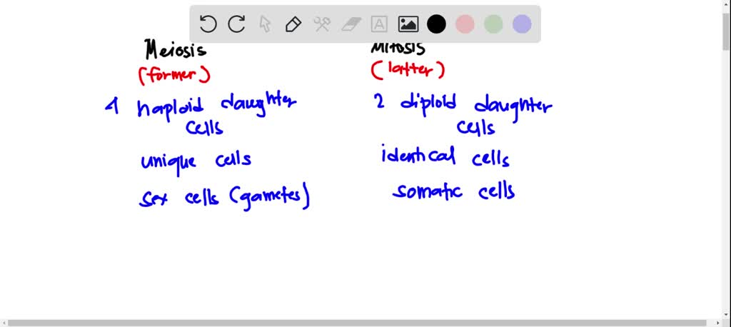 SOLVED: Question 8 2 pts Which of the following is part of bacterial ... SOLVED: Question 8 2 pts Which of the following is part of bacterial ...