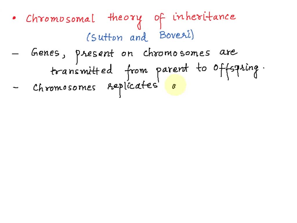 Solved Explain The Chromosome Theory Of Inheritance Or The Sutton Bovery Theory