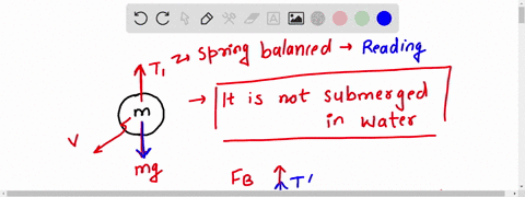 draw a free body diagram of a hanging mass before it is submerged in water make sure to label ...
