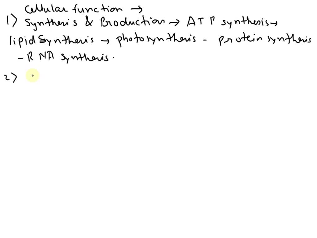 SOLVED: List 3: Cellular functions ATP synthesis Cell-to-cell ...