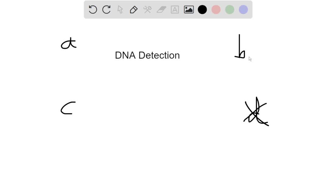 Solved Which Procedure Is Least Effective For Detecting Specific Dna