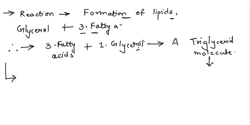 SOLVED: breaking down a triglyceride into a glycerol and 3 fatty acids ...
