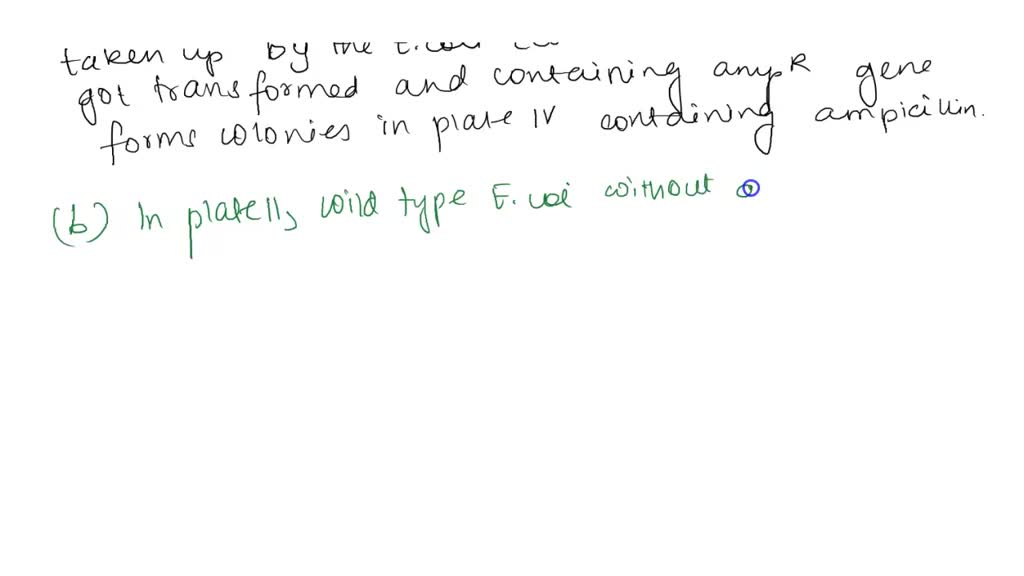 SOLVED: Module I: Overview Module will transform the GEp host coli ...