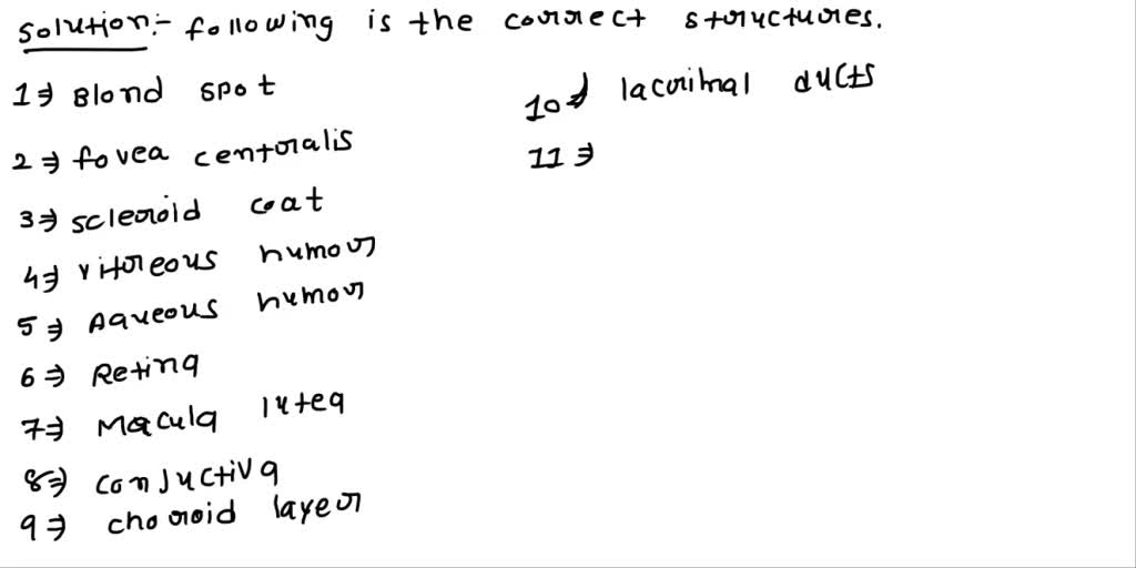 6. Correctly identify each lettered structure in the diagram by writing ... 6. Correctly identify each lettered structure in the diagram by writing ...