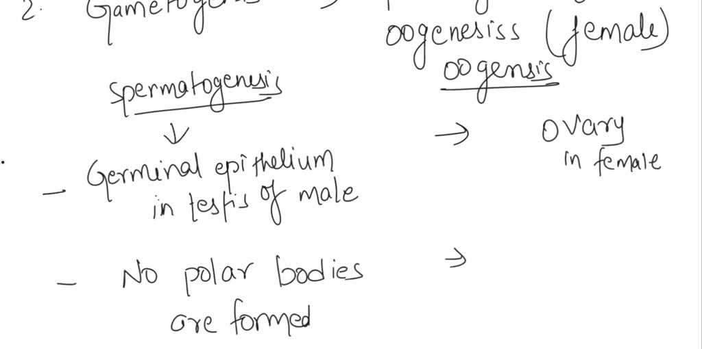 SOLVED: Answer the questions: True or false? Gametogenesis is the same ...