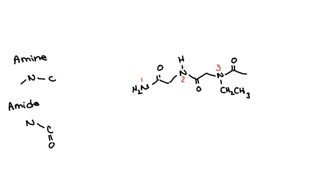 SOLVED: Classify the following alkyl amines in each molecule as primary ...