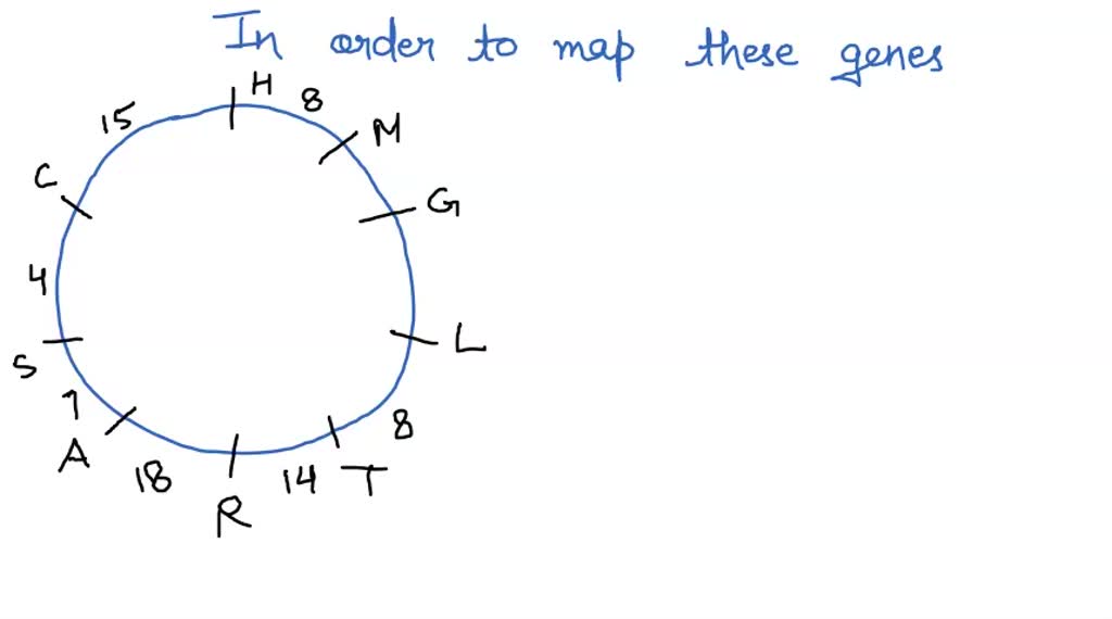 SOLVED: a. In three different interrupted mating experiments, the following data are obtained ...