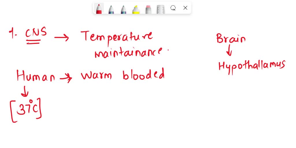 SOLVED: Describe the mode of action of CNS stumulant of MDMA(Ecstasy ...