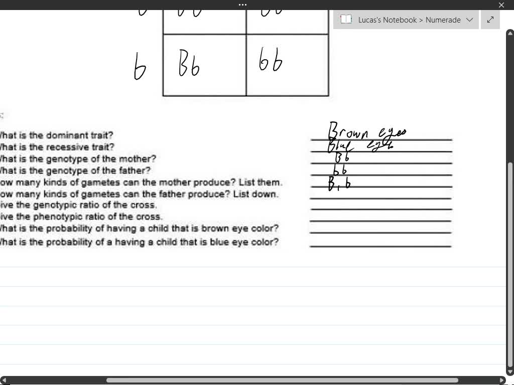 SOLVED: Solving Trihybrid and Larger Crosses with Branch Diagrams Answer the following using ...
