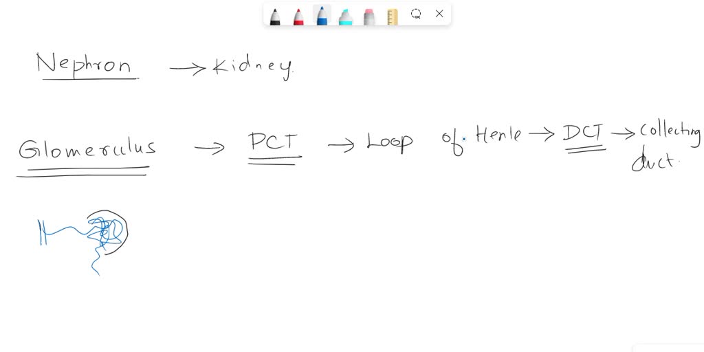 SOLVED: 'Please help!!!! Select the correct location on the image. In ...